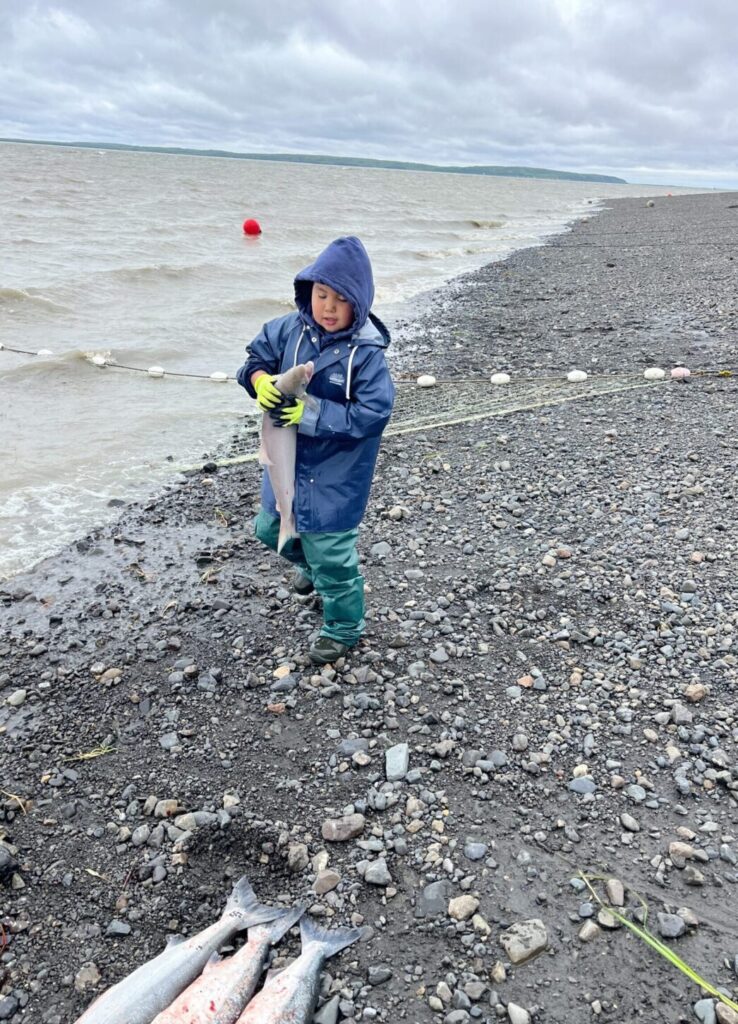 Training Breast Imagers in “The Land of The Midnight Sun” – Mammography ...